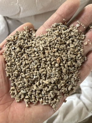 950克  干货 煅海浮石 颗粒 如图