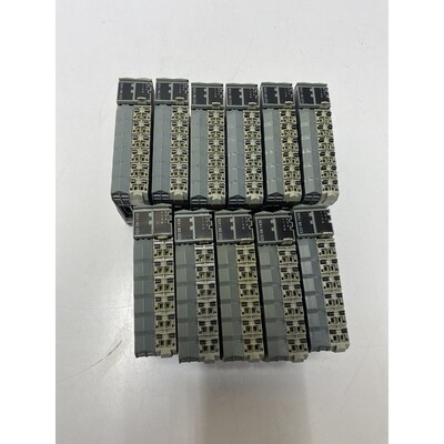 B&R X20 SM 1436 + X20 BM 31