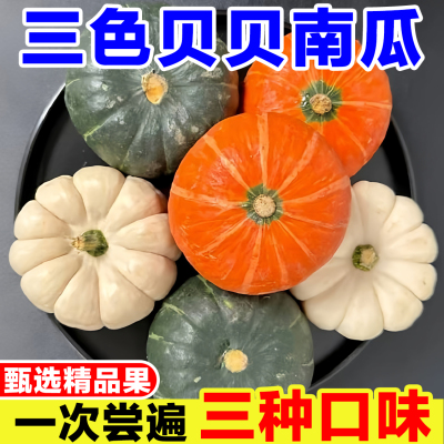 三色贝贝南瓜组合奶油贝贝南瓜白贝贝金贝贝板栗贝贝南瓜三拼装