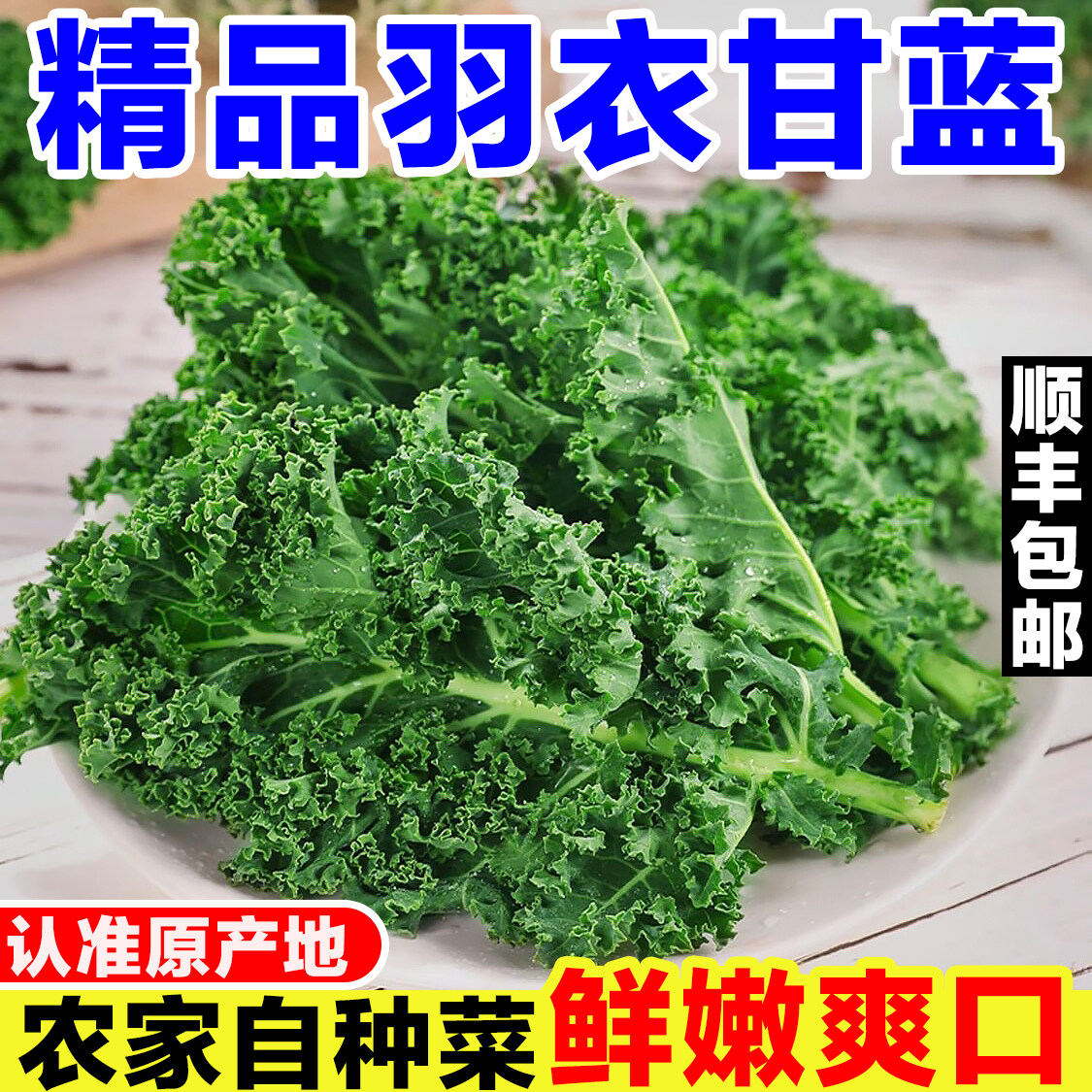精品羽衣甘蓝新鲜蔬菜当季现摘农家嫩叶甘蓝轻食沙拉榨汁西餐食材