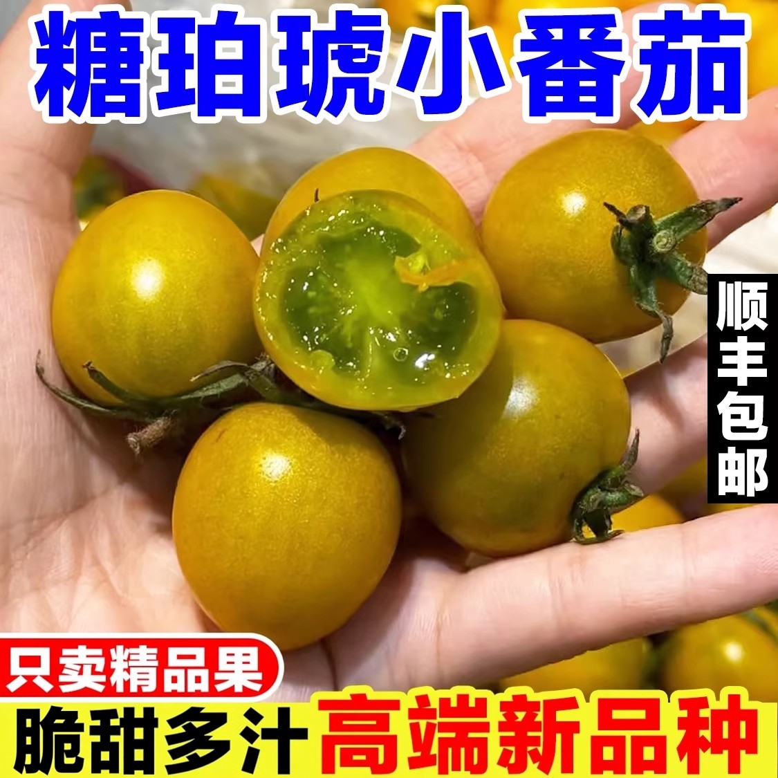糖珀琥小番茄黄绿色圣女果新鲜现摘唐伯虎水果小柿子生吃玲珑果