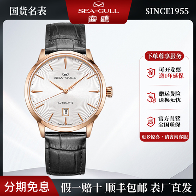 正品海鸥腕表男士简约高级感经典商务潮流全自动机械手表男表1134