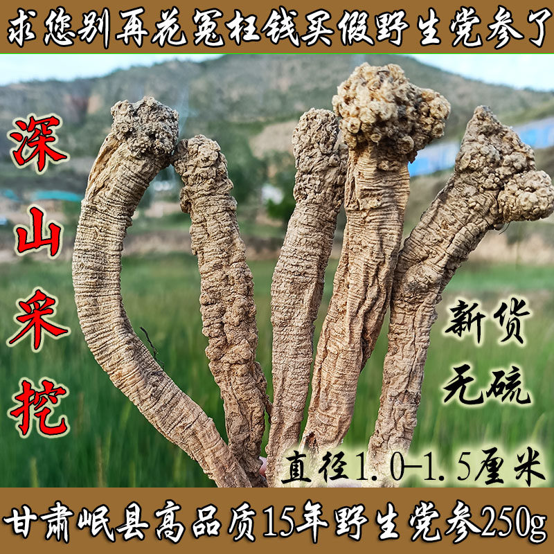 甘肃特级野生党参纯天然岷县党野党参狮子头土纹潞党参上党参500g