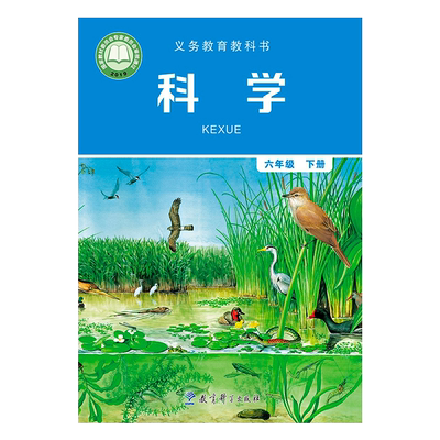2026适用六年级下册科学教科版
