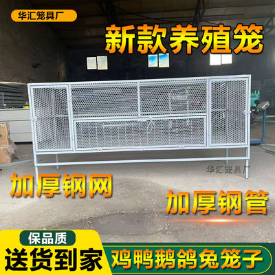好品质鸡笼子养殖鸡鸭鹅兔子钢网笼尖顶防雨可水洗自动收蛋烤漆笼