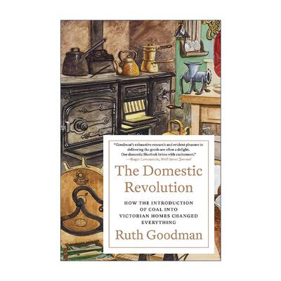 英文原版 The Domestic Revolution 家庭革命 维多利亚时代家庭引入煤炭带来的改变 英文版 进口英语原版书籍