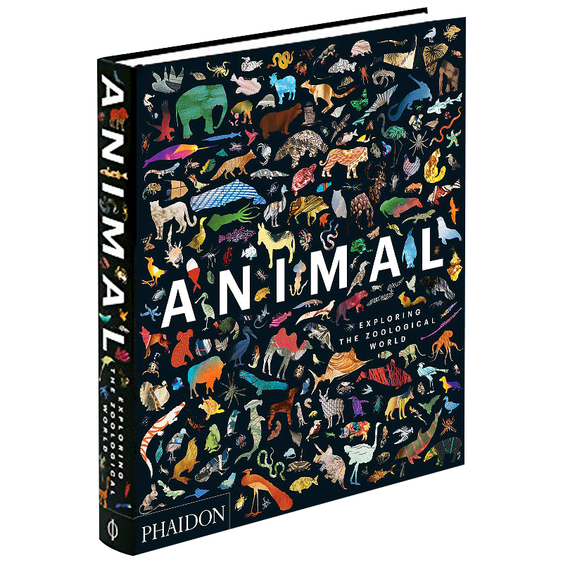 动物 探索动物学的世界 英文原版 Animal Exploring the Zoological World 300多幅迷人的图片 画册 英文版进口原版英语书籍