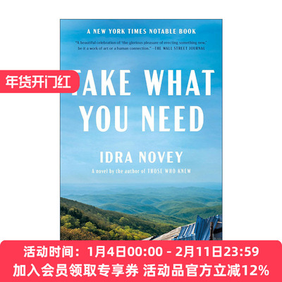 英文原版 Take What You Need 拿走你要的 女性小说 Idra Novey 英文版 进口英语原版书籍