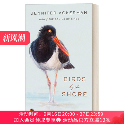 岸边的鸟类 英文原版 Birds By the Shore 观察大西洋海岸的自然生活 自然科普 Jennifer Ackerman 英文版 进口英语原版书籍