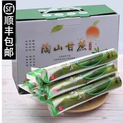 温州陶山甘蔗新鲜水果