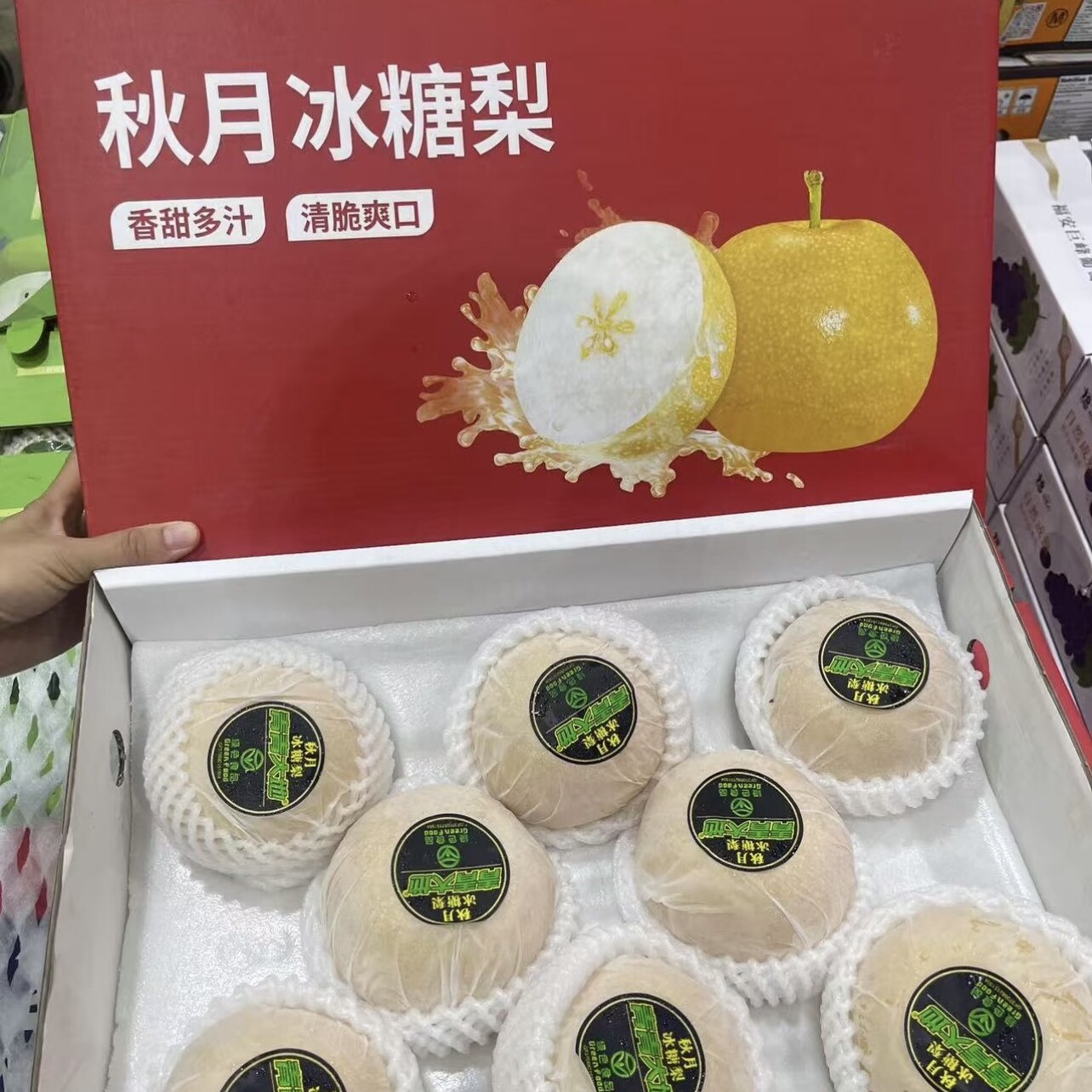 现货当季正宗冰糖秋月梨礼品盒7斤7-10个果,山东梨脆甜多汁顺丰
