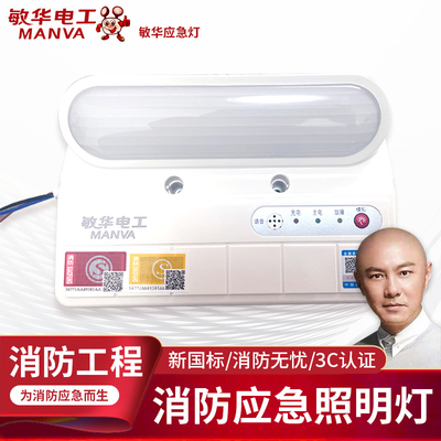 敏华应急照明壁挂式应急灯