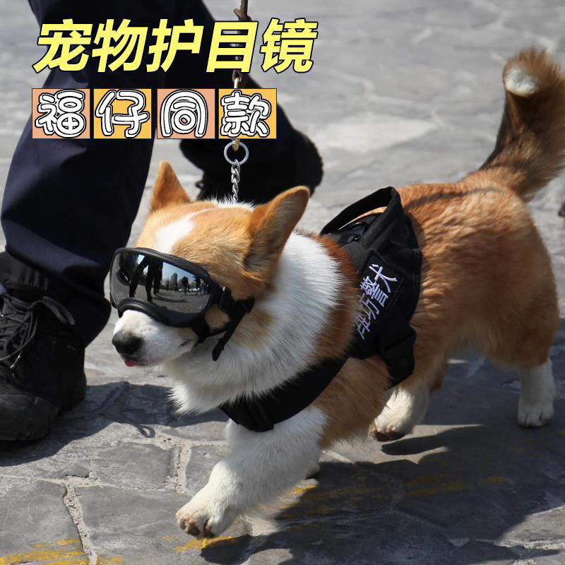 狗狗护目镜专用宠物遮阳太阳眼镜防风抗UV大型犬小型柯基边境牧羊
