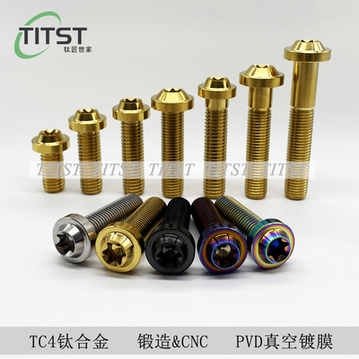 摩托车钛合金螺丝TITST