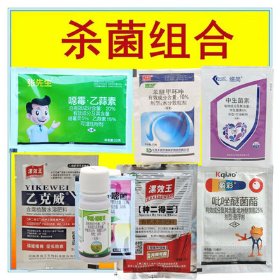 大蒜大葱洋葱花生干尖黄叶叶枯病死苗烂根根腐病杀菌剂噁霉乙蒜素