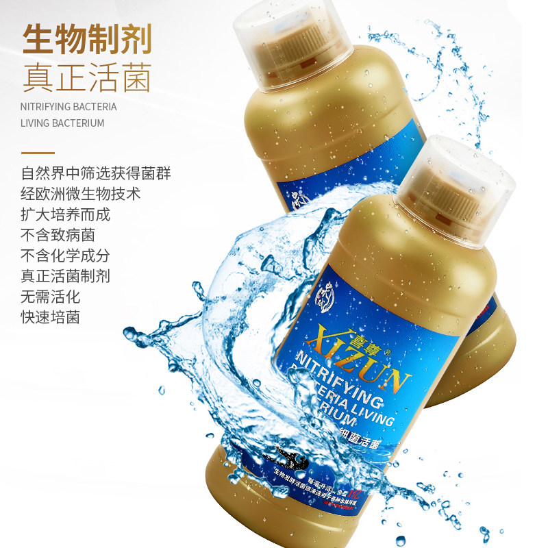 喜尊硝化细菌生物活菌净水剂养鱼水族水质营养稳定剂净水消化细菌