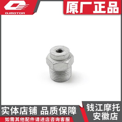 QJMOTOR 150T-23E（鸿150 ADV）鸿150都市版平衡块组件原厂