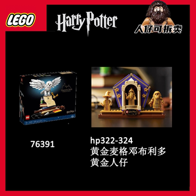 哈利波特LEGO/乐高邓布海格20周