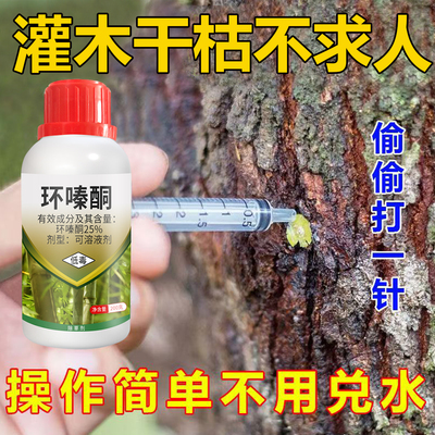 环嗪酮水剂死根树根灌木枯死剂环嗪哃一针竹子杂树腐根专用除草剂