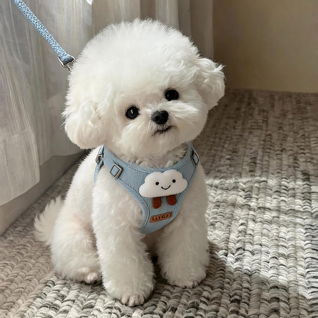 狗狗牵引绳背心胸背带防挣脱小型犬泰迪比熊小猫咪遛狗链宠物兔绳