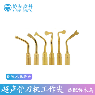 牙科骨刀机超声刀头骨刀工作尖骨刀机适配迈创啄木鸟USUC系列通用