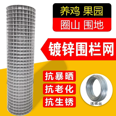 镀锌电焊网防鼠围栏铁丝网养鸡养狗家用护栏网隔离钢丝网防护网格