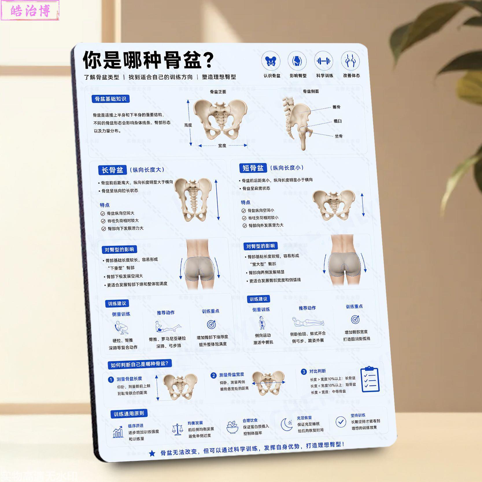 骨盆定义类型训练形体修复馆展示牌相框健身塑形馆装饰画摆件摆台