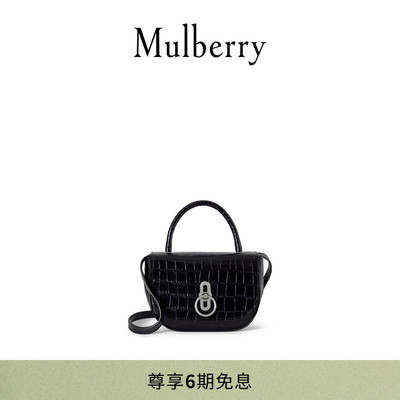 MulberryAmberley小号手提包