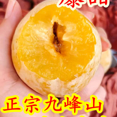 正宗乐昌九峰山黄金奈李