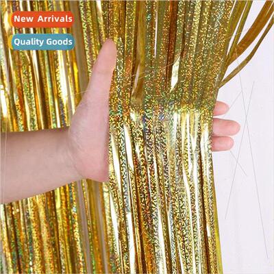 Laser Rain Curtain Thickened Dot Laser Rain Curtain Door Cur