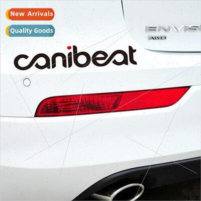 Canibeat Hellaflush car modification front and rear gear sti