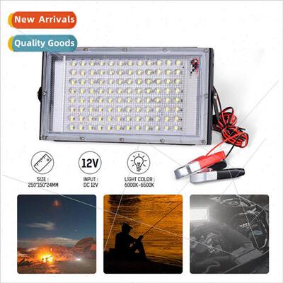Low voltage flood light 12V24V48V outdoor waterproof dc ac l