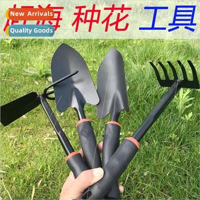 Gardening tools rake hoe two busy catching the sea small too