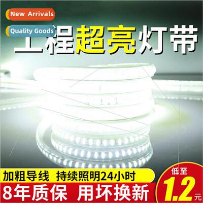 led strip light 220v living room household ceiling three col