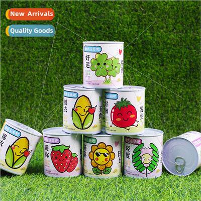 Can pots green plants tomato strawberry seeds small flower f