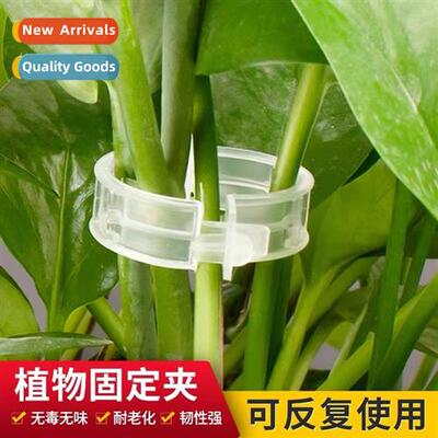Plants  frus plant clip plastic vine clamps branch clamps ha