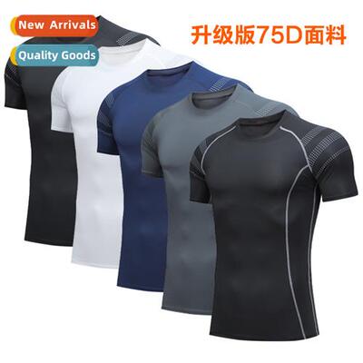New sports tights mens gym running breathable sweat-absorbin