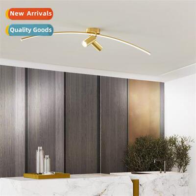 Scinavian copper living room background wall ceiling lamp li
