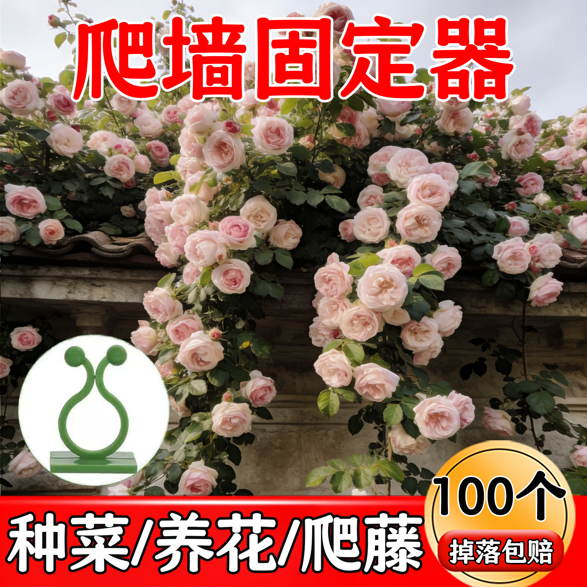 月季蔷薇爬墙固定器绿植攀爬固定神器卡扣墙上挂钩粘爬墙固定器