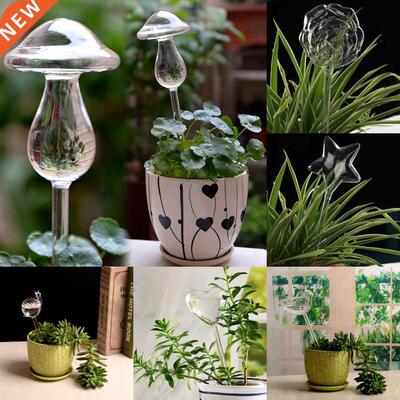 6 Types Glass Plant Flowers Water Feeder Automatic Self Wate