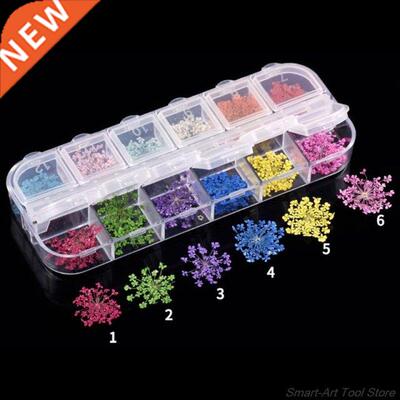 24Pcs Real Pressed Flower Anne's Lace Dried Flower Nail Art