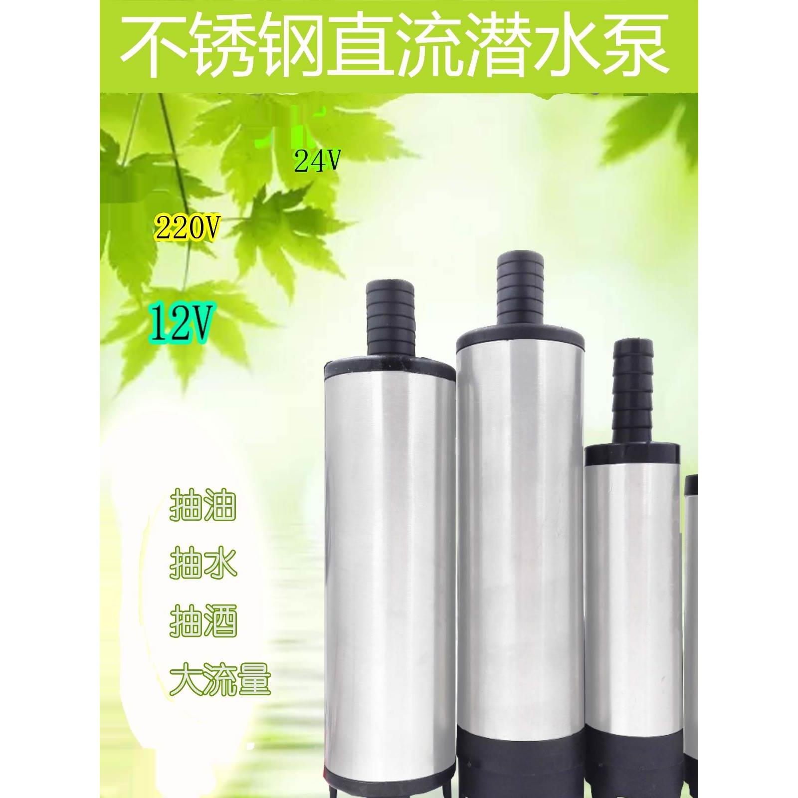 小微型不锈钢抽水抽油泵直流水泵12V24V煤油泵打药柴油泵洗澡泉水