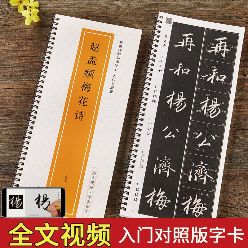赵孟頫梅花诗临摹字卡传世碑帖米字格入门对照版全文视频逐字精讲教程练字帖赵体行书毛笔字帖成人初学者近距离放大版书法原帖临帖