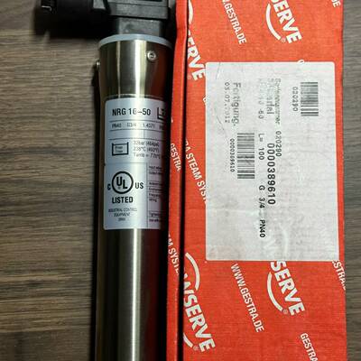 议价GESTRA NRG 16-50，液位传感器，未使用原厂可维修翻新