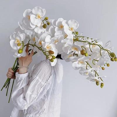 artificia Artificial Butterfly Orchid Flowers Moth兰花