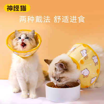 伊丽莎白圈猫咪绝育项圈