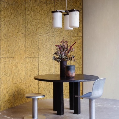 ARTE 比利时进口Emblème木皮墙纸30800 30801 30802 30803 30804