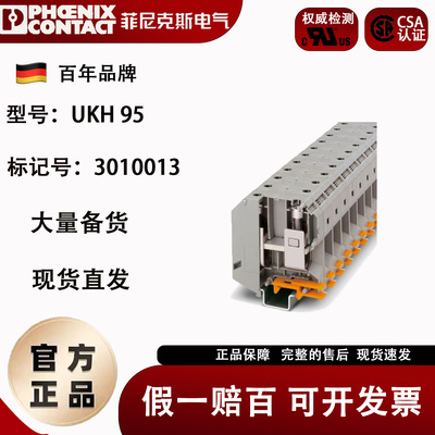 接线端子菲尼克斯螺栓式