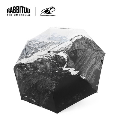 rabbituu双层【雾霾雪山】自动伞雨伞男士结实抗风晴雨两用伞折叠