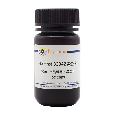 碧云天Beyotime C1025 C1026 Hoechst 33342染色液